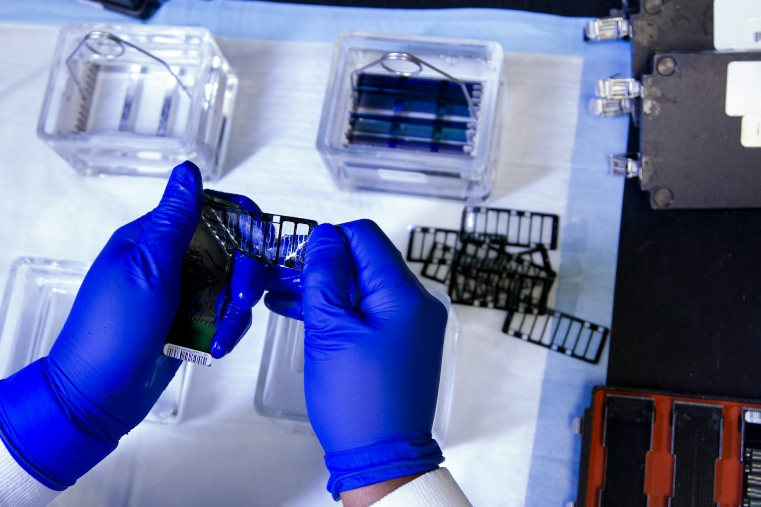 Avalo Therapeutics: Pioneering Biotech Solutions for Immune Disorders ...
